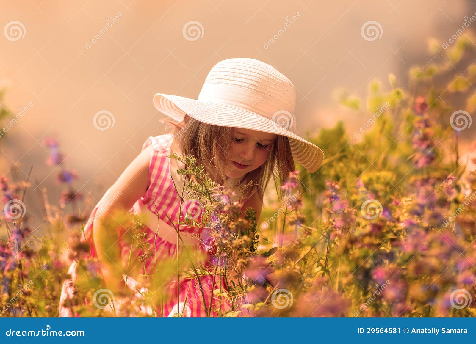 Smelling flowers stock image. Image of playful, natural - 29564581