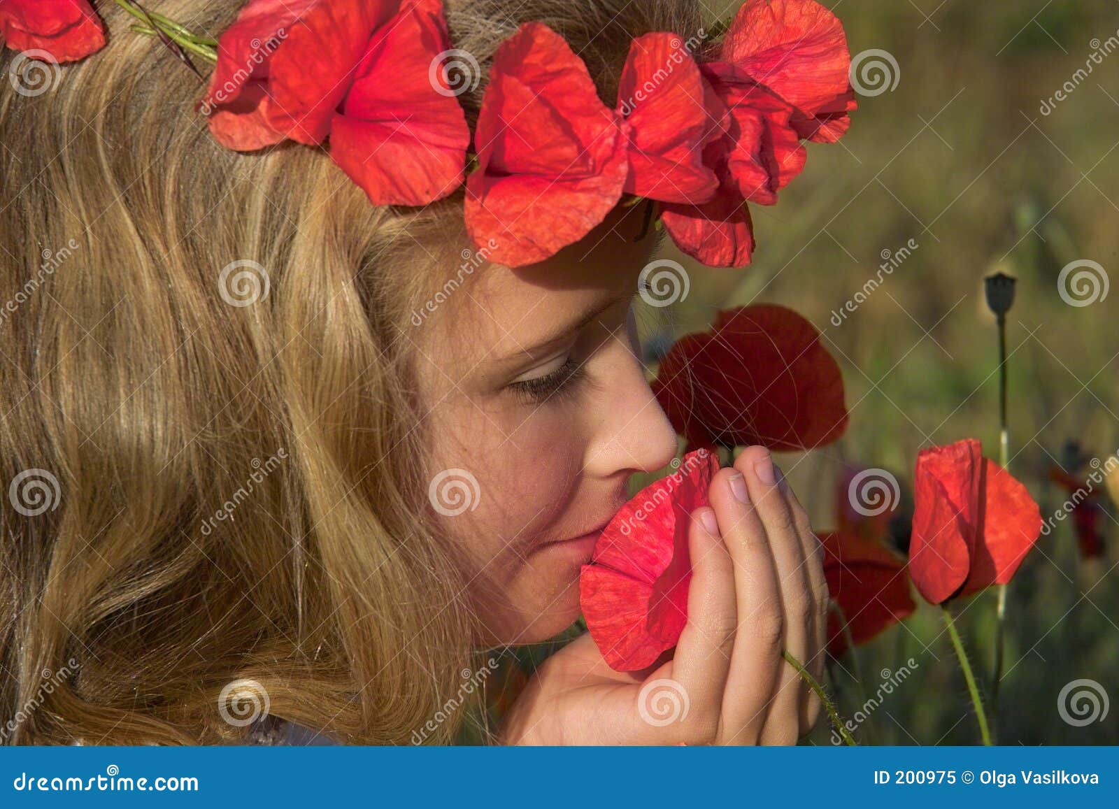 Smelling the poppies stock image. Image of people, human - 200975