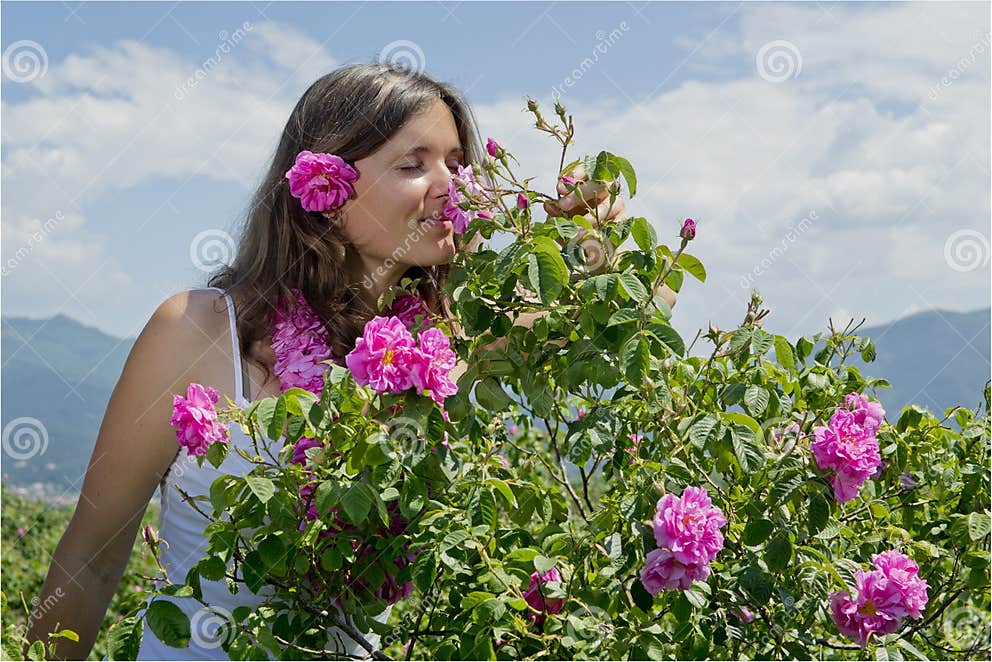 Smelling a rose stock photo. Image of brunette, nature - 25288336