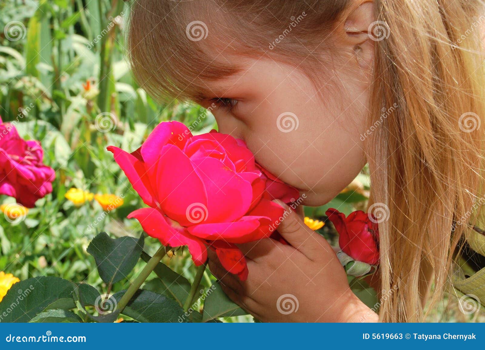 Smelling a rose stock image. Image of childhood, profile - 5619663