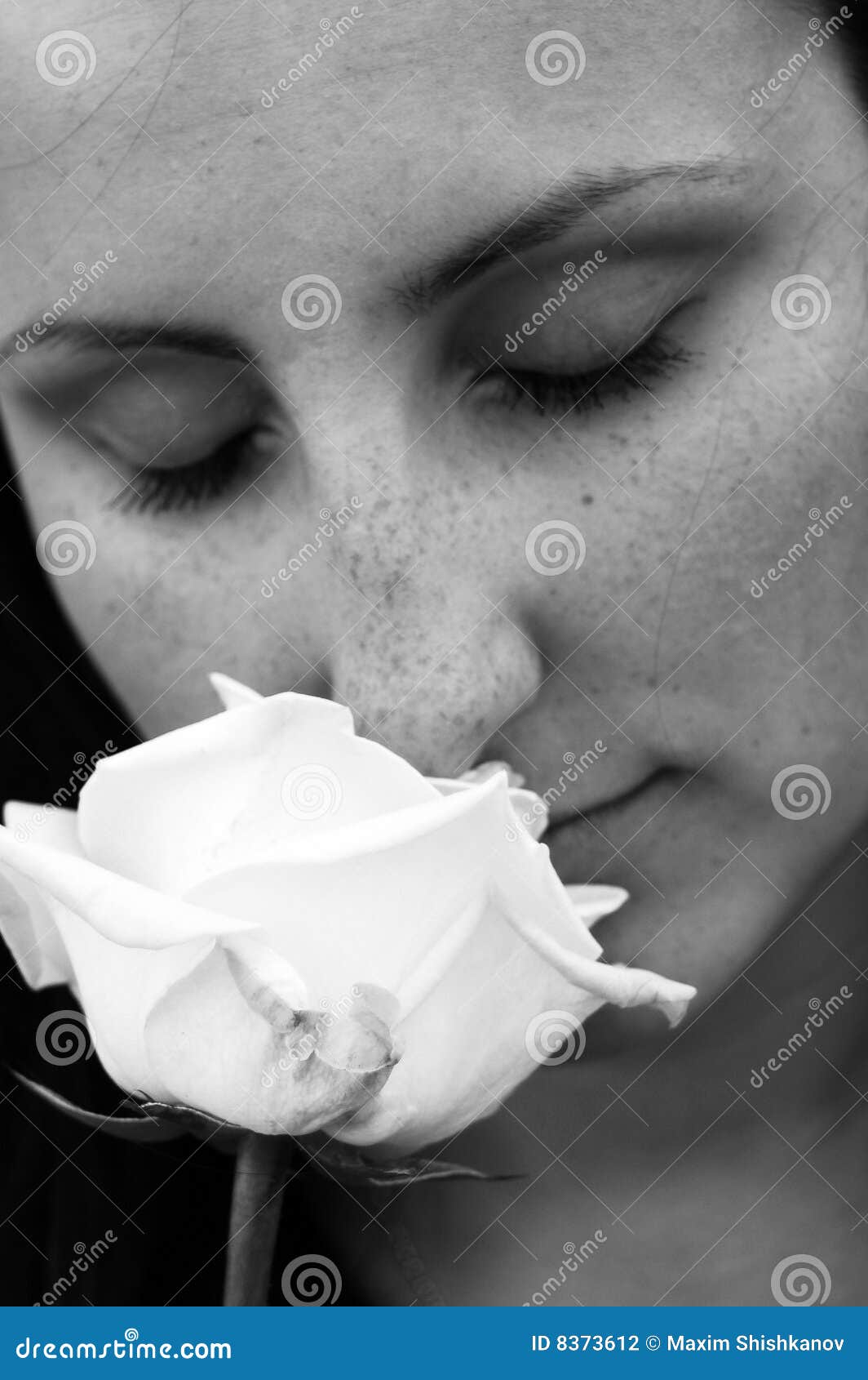 Smelling a rose stock photo. Image of roses, sweet, pretty - 8373612