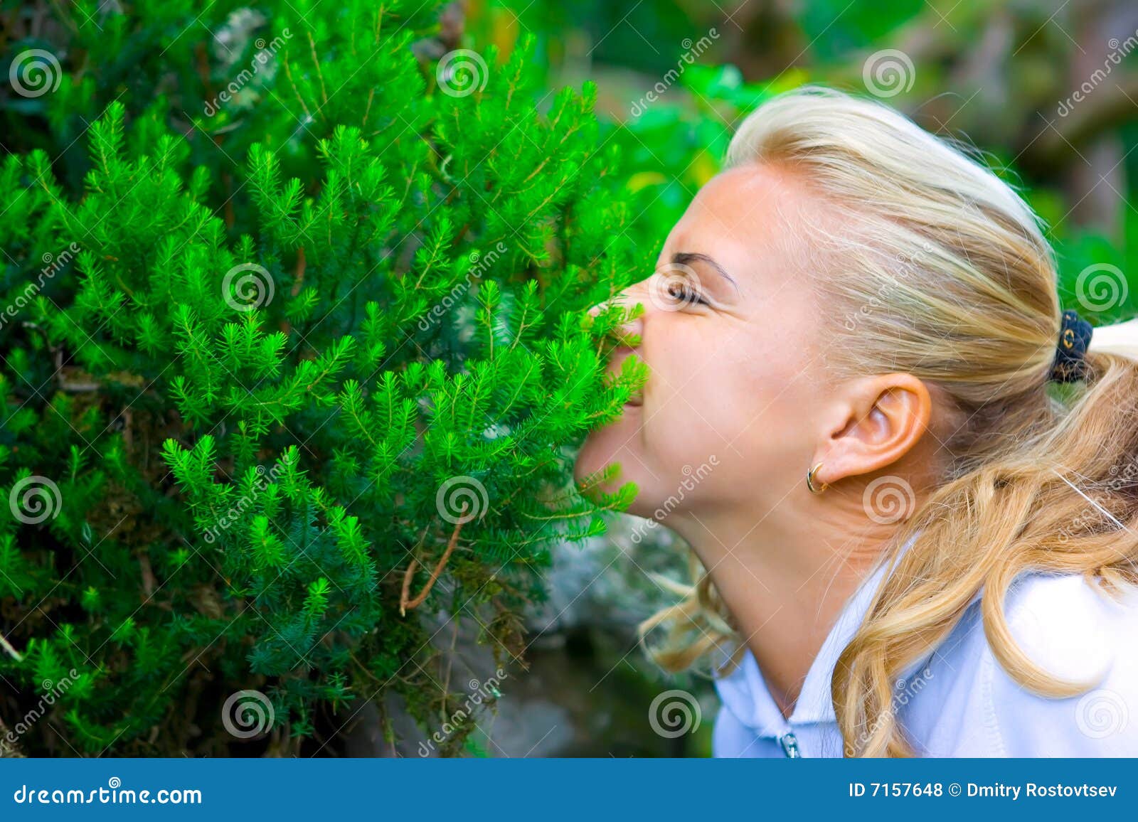 Smells good stock photo. Image of bush, smelling, girl - 7157648