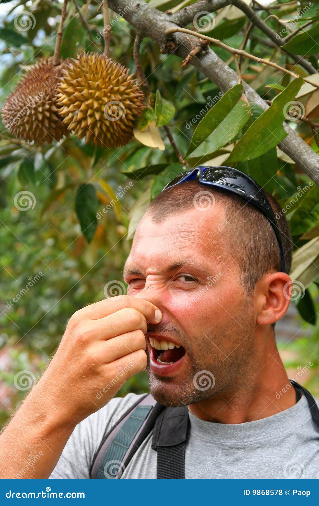Smelly Durian stock photo. Image of fruit, hang, delicacy - 9868578