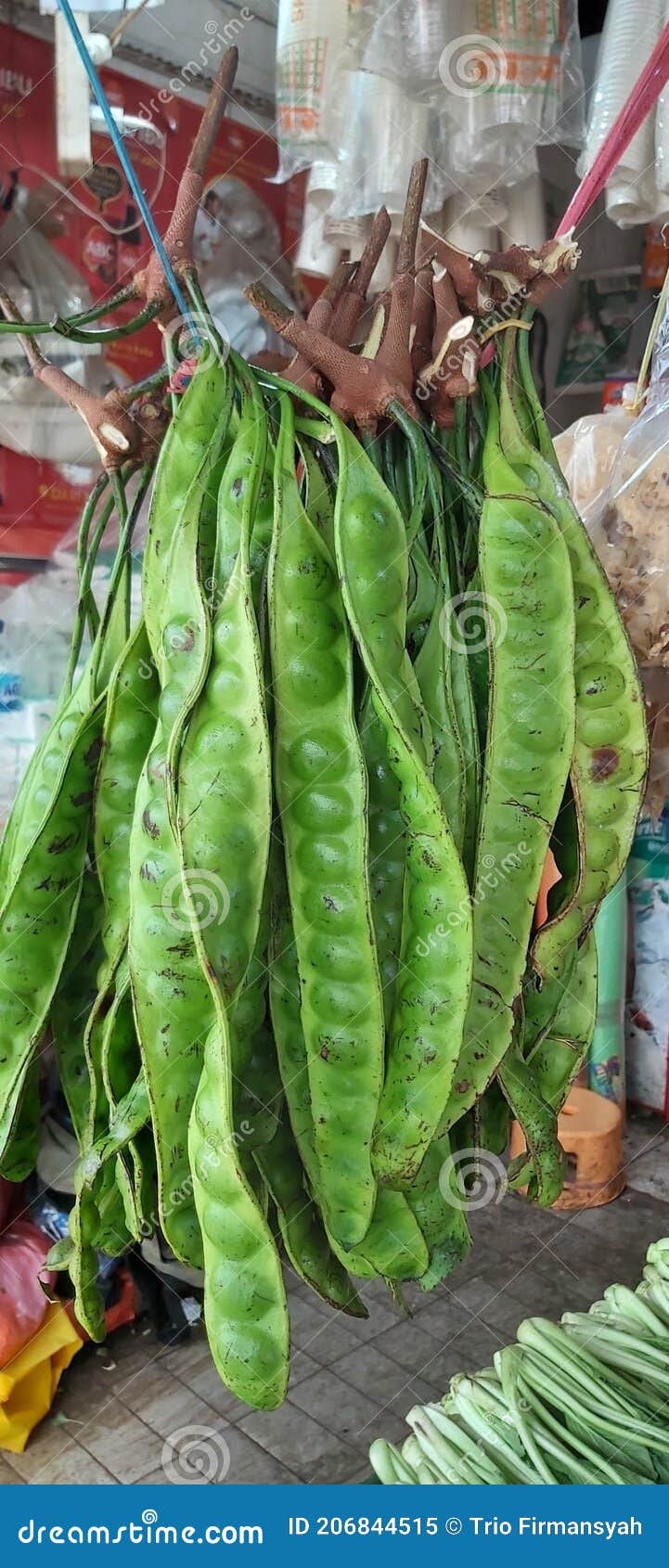 The smelly fruits stock image. Image of peteforlife - 206844515