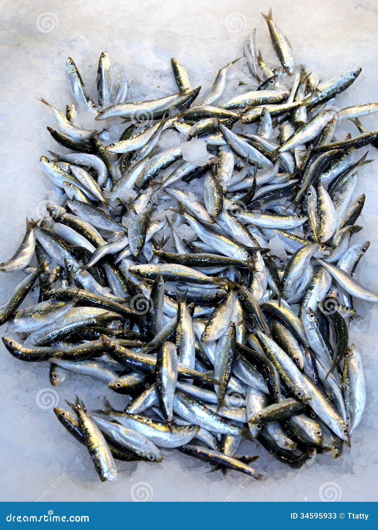 Smelt fish pile stock image. Image of seafood, smelt - 34595933