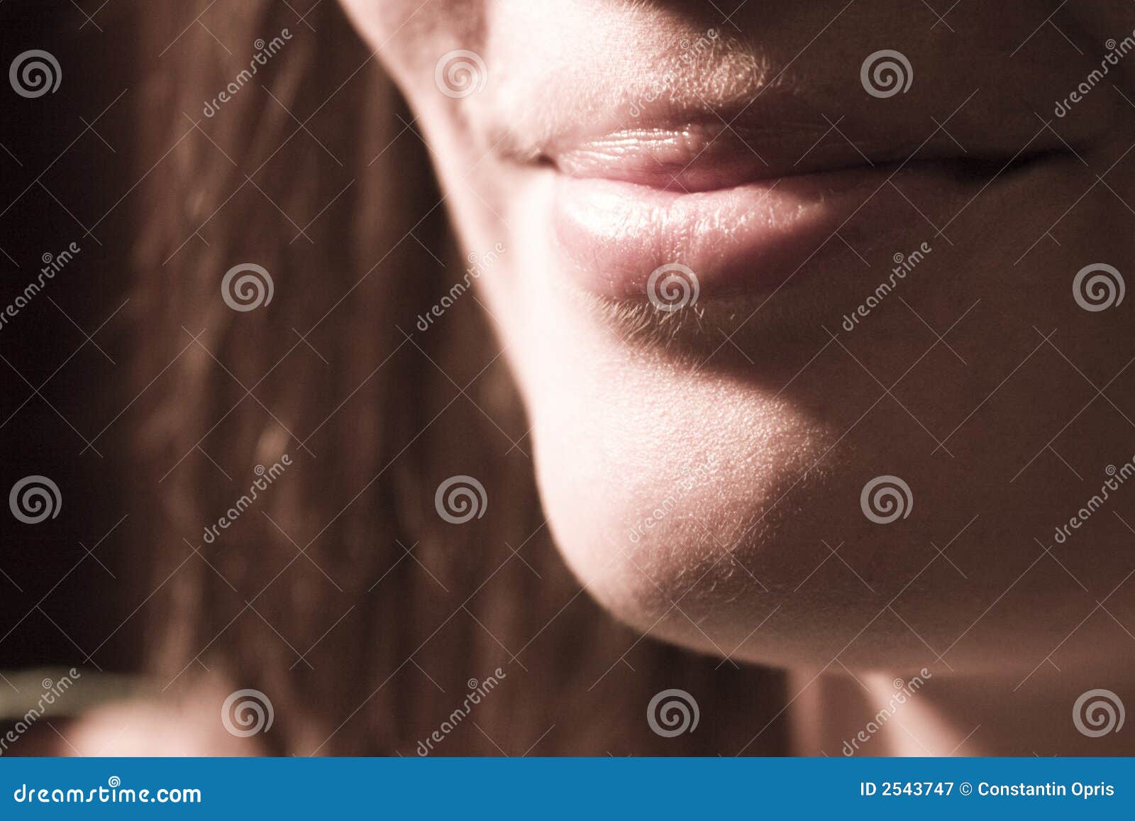 Smile stock image. Image of discretion, human, woman, happy - 2543747