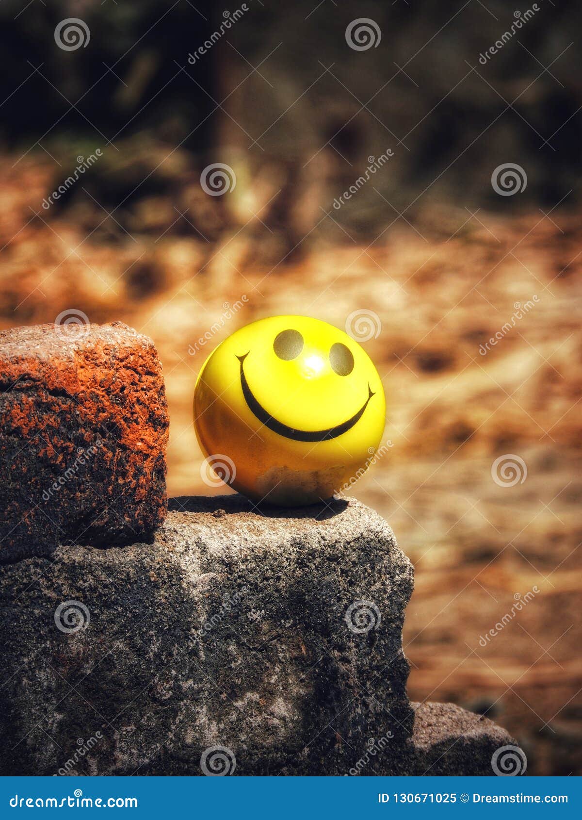 Smiley ball stock image. Image of shining, ball, laughing - 130671025