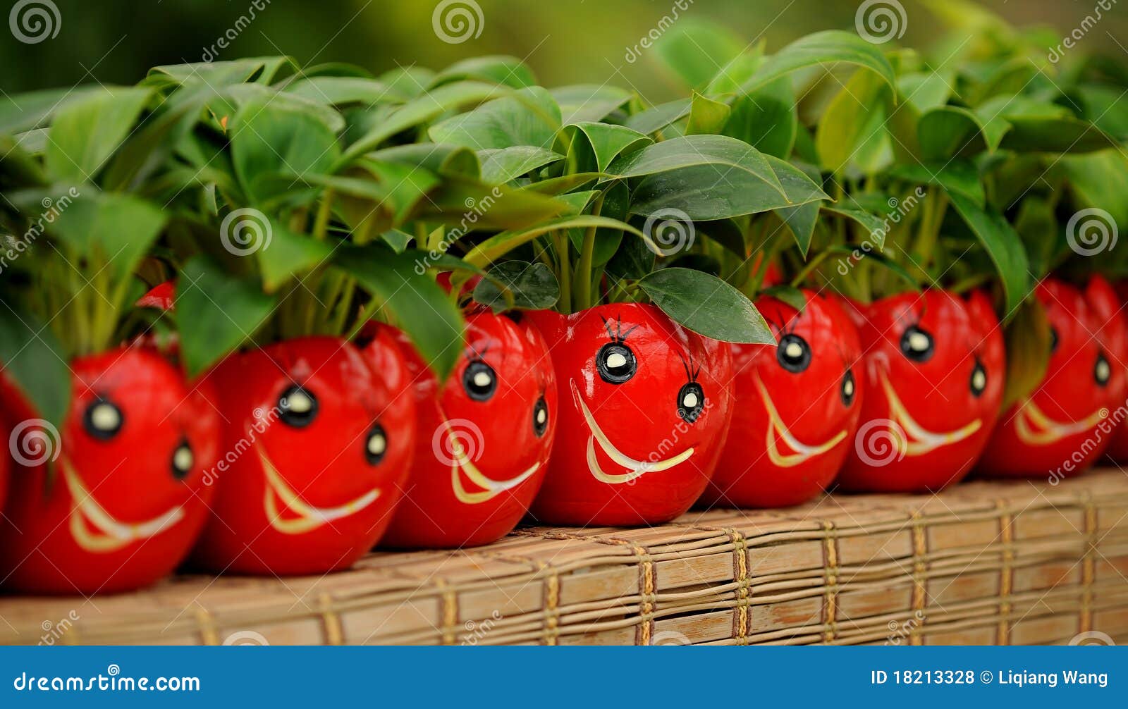 Smile flower stock photo. Image of bright, beautiful - 18213328