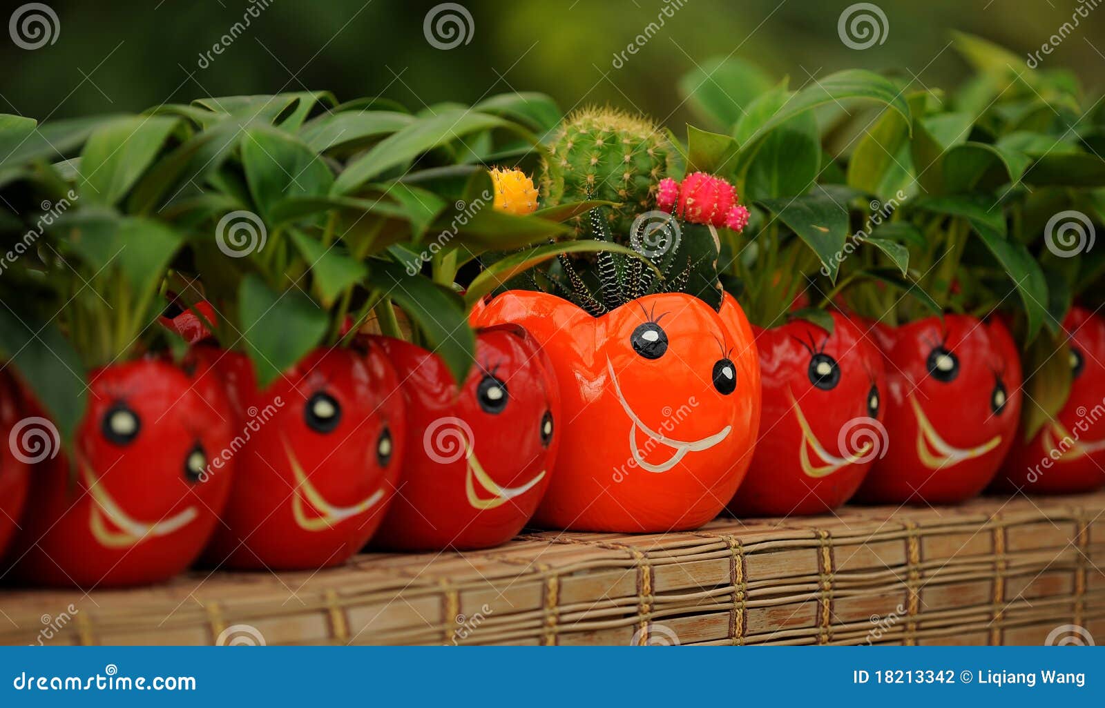 Smile flower stock photo. Image of gourd, yellow, produce - 18213342