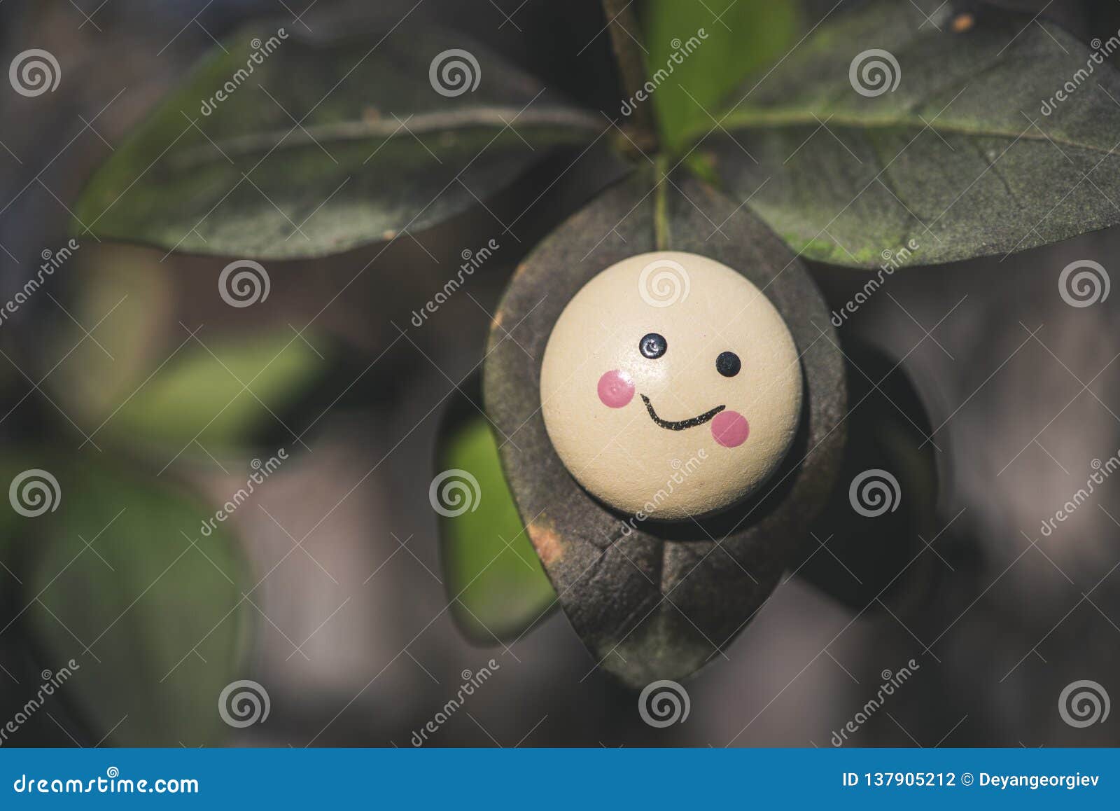 Smile Icon Miniature on Tree Stock Photo - Image of happiness ...