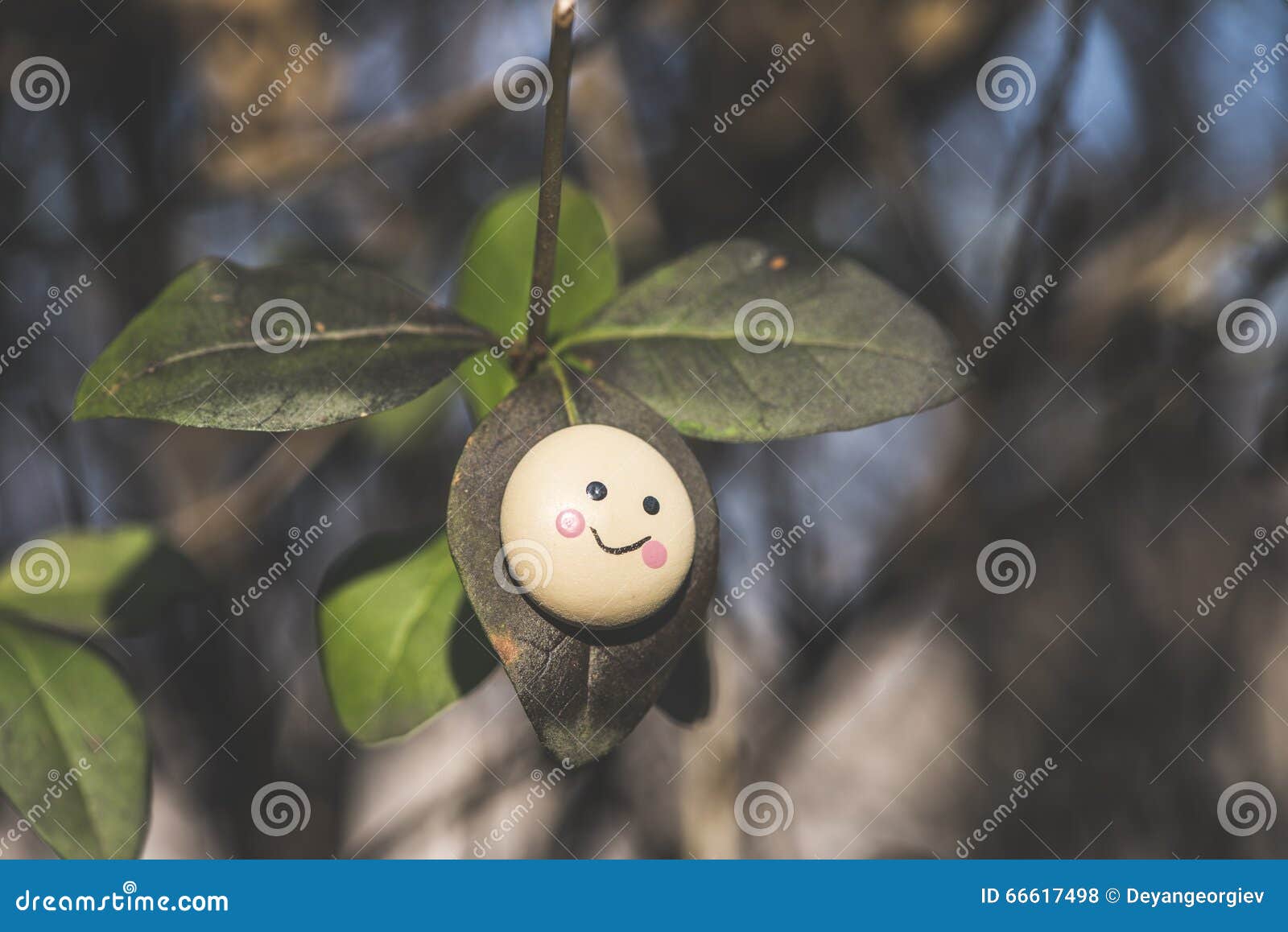 Smile Icon Miniature on Tree Stock Photo - Image of green, symbol: 66617498
