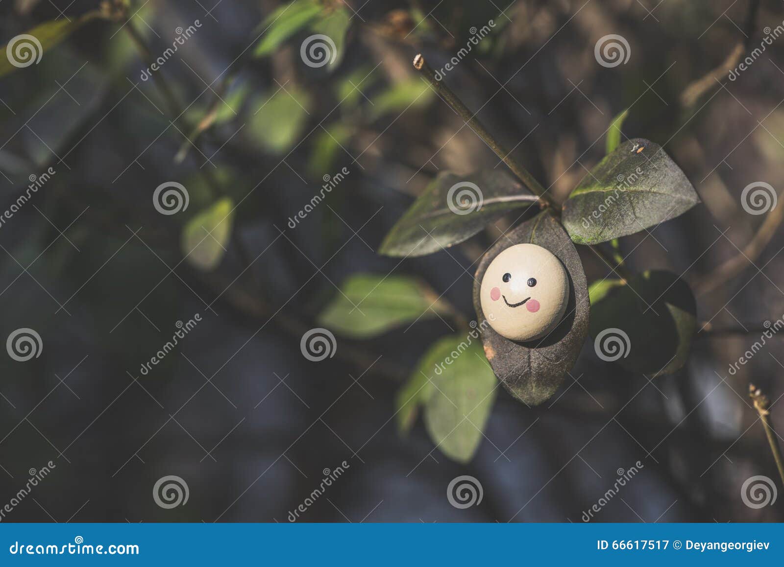 Smile Icon Miniature on Tree Stock Image - Image of decoration ...