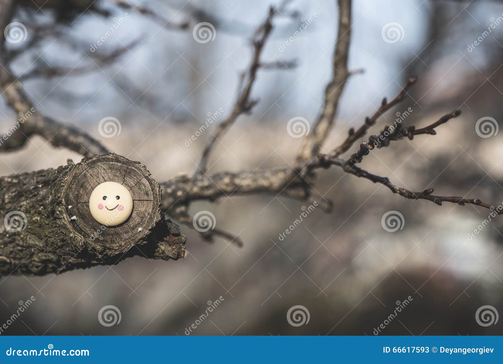 Smile Icon Miniature on Tree Stock Image - Image of design, wooden ...