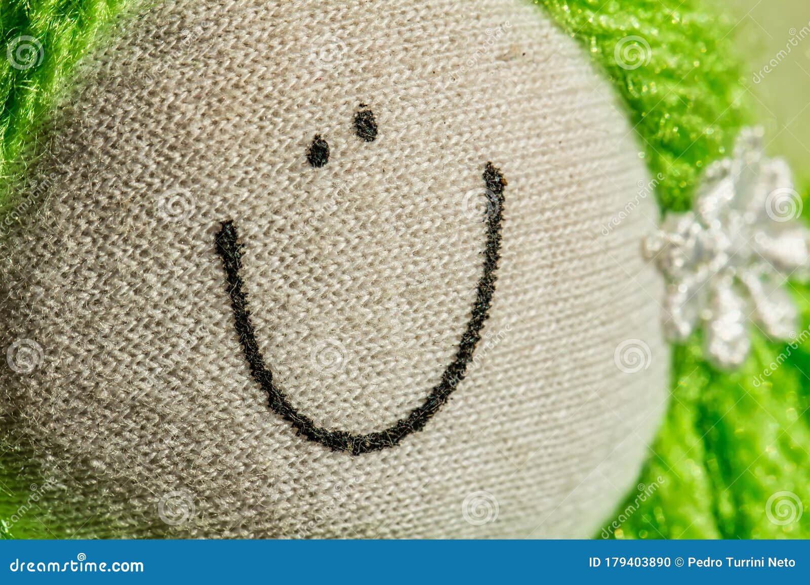 Smile. Rag Doll Face Smiling in Detail Stock Photo - Image of human ...