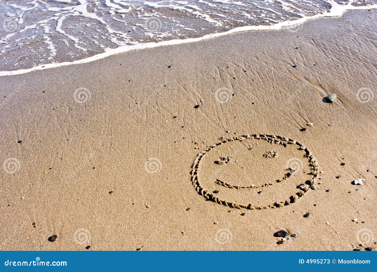 Smile in the Sand stock image. Image of holiday, ocean - 4995273