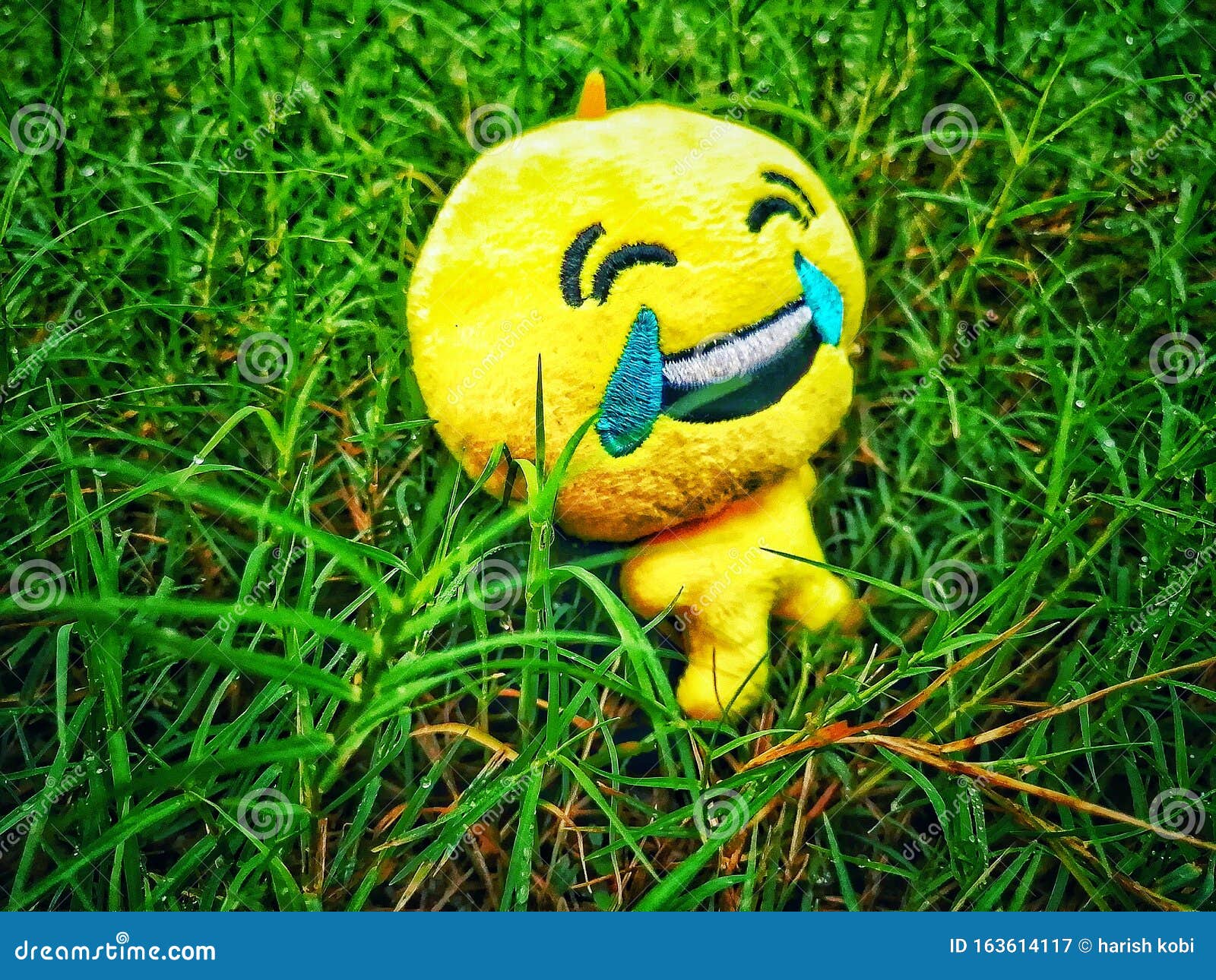 Smile stock image. Image of outdoor, grass, smily, smile - 163614117