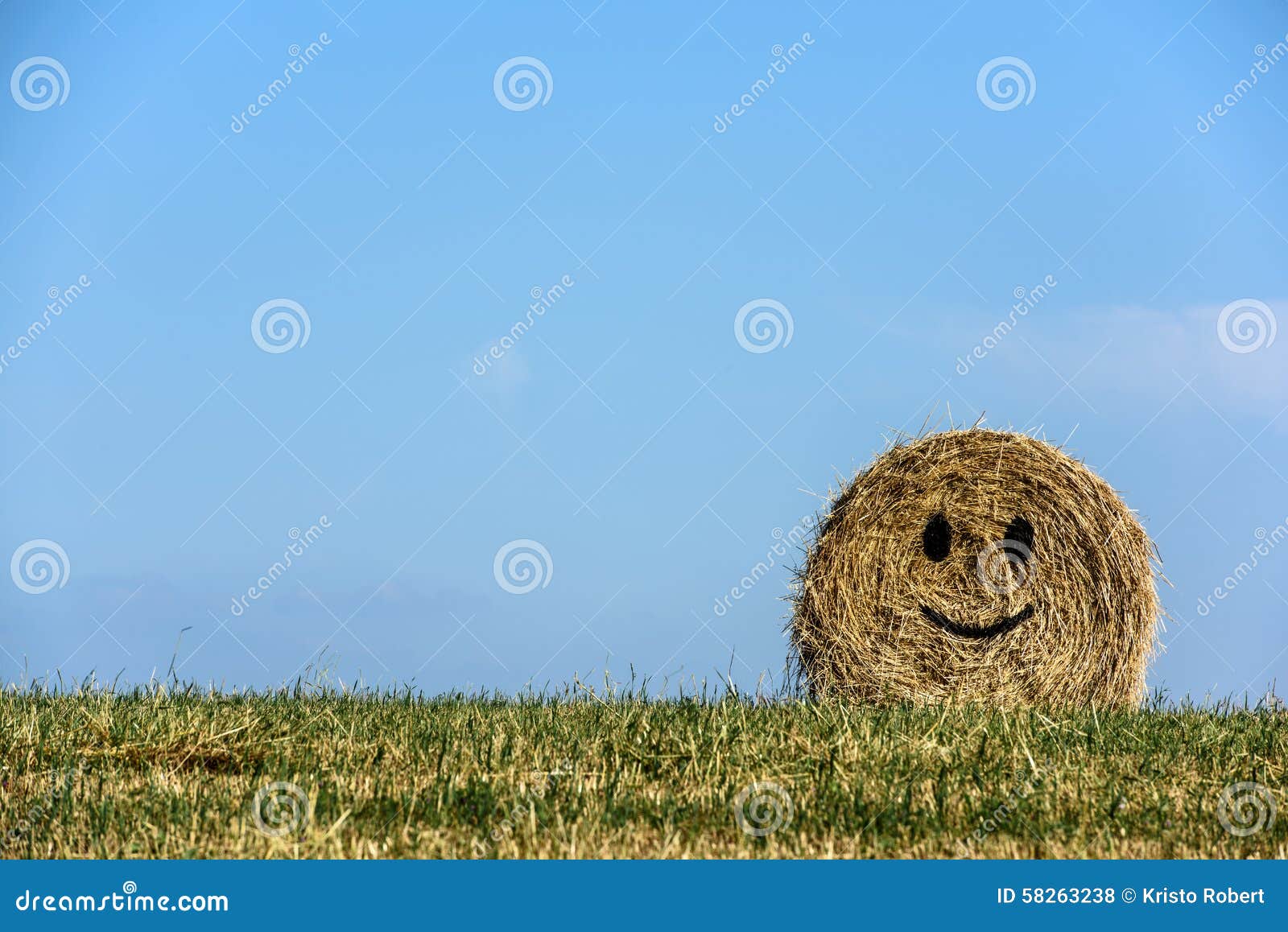 Smile. stock photo. Image of barley, face, grain, field - 58263238