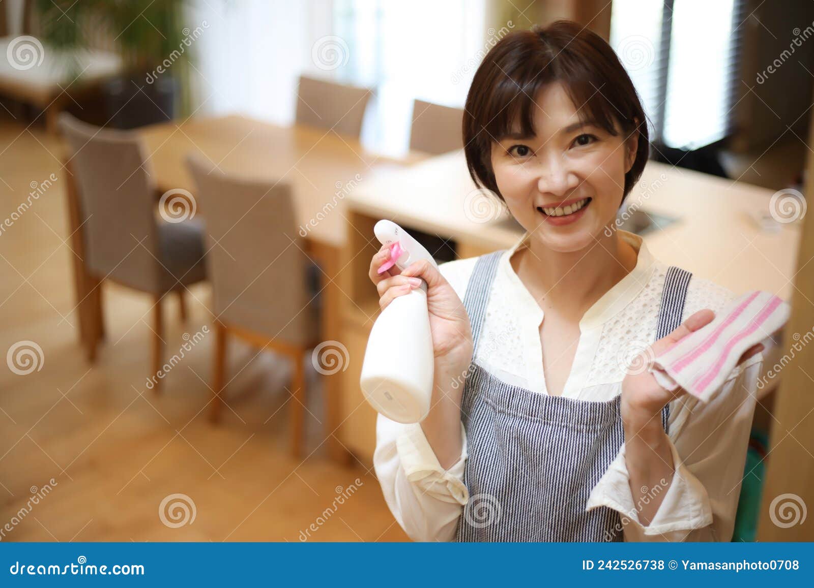 Smile woman cleaning stock photo. Image of everyday - 242526738
