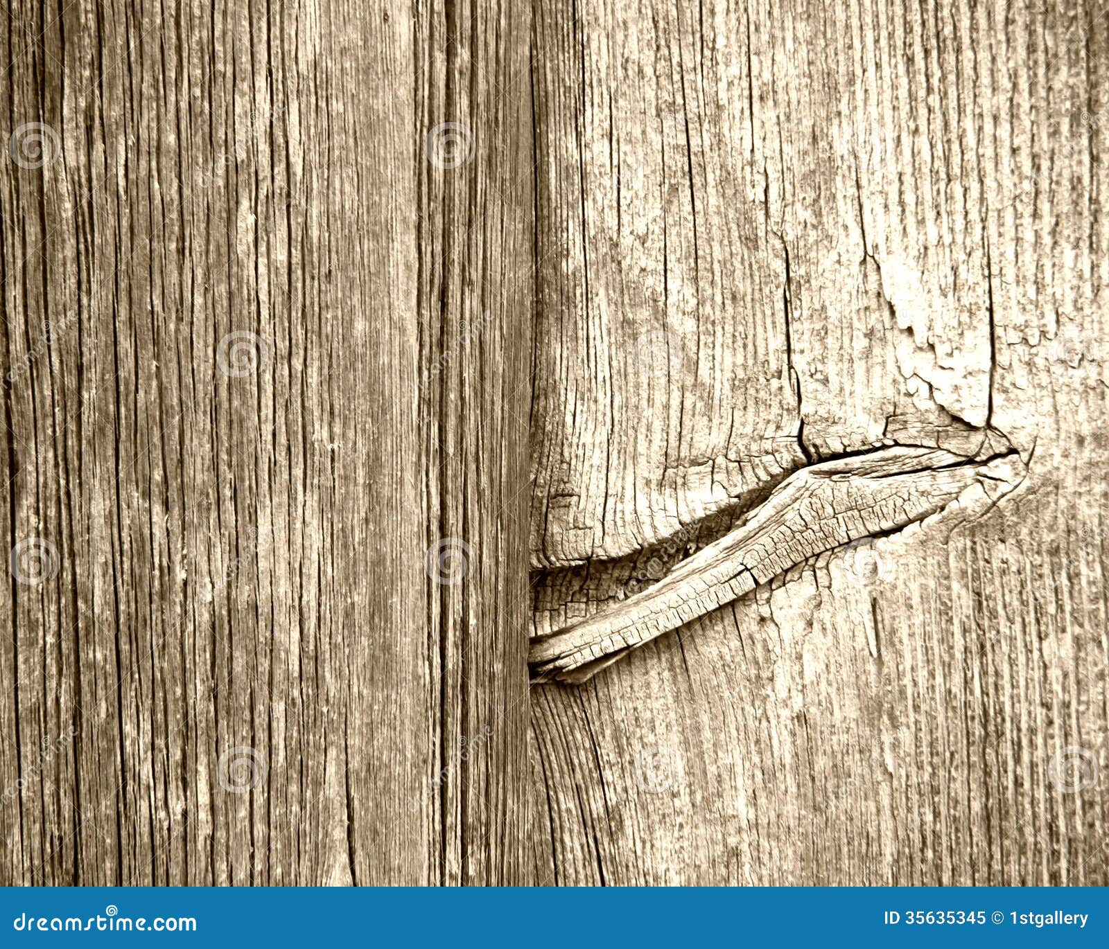 Smile (11) stock image. Image of knotty, ecology, boards - 35635345