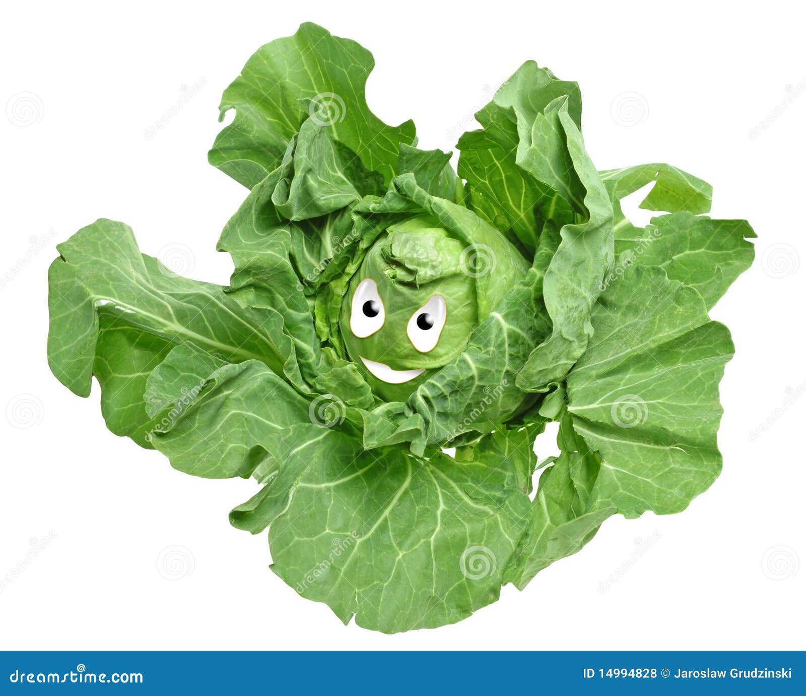 Smiley de chou photo stock. Image du brillant, visage - 14994828