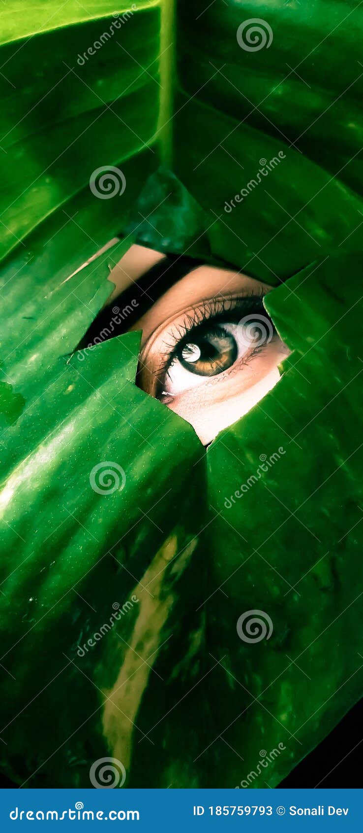 Smiley Eye with Attractive Look Stock Image - Image of wind, field ...