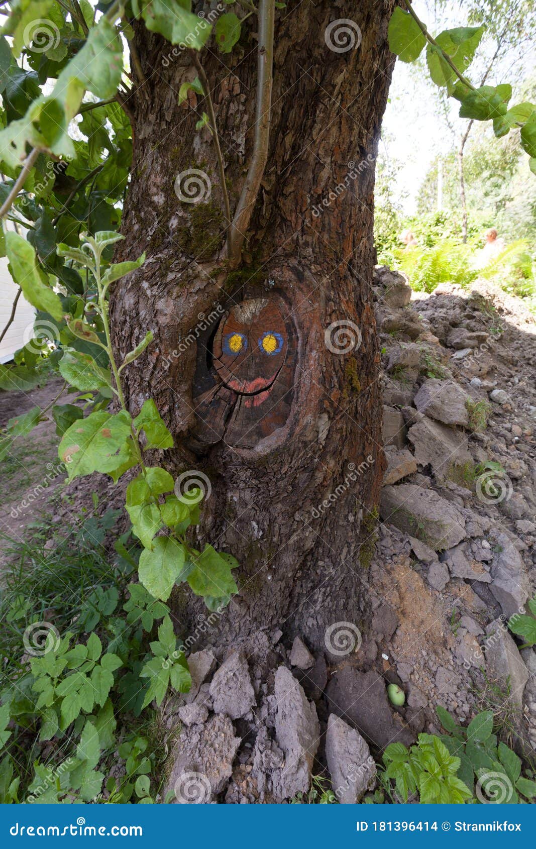 The Smiley Face on a Big Tree Stock Photo - Image of fantasy, wood ...