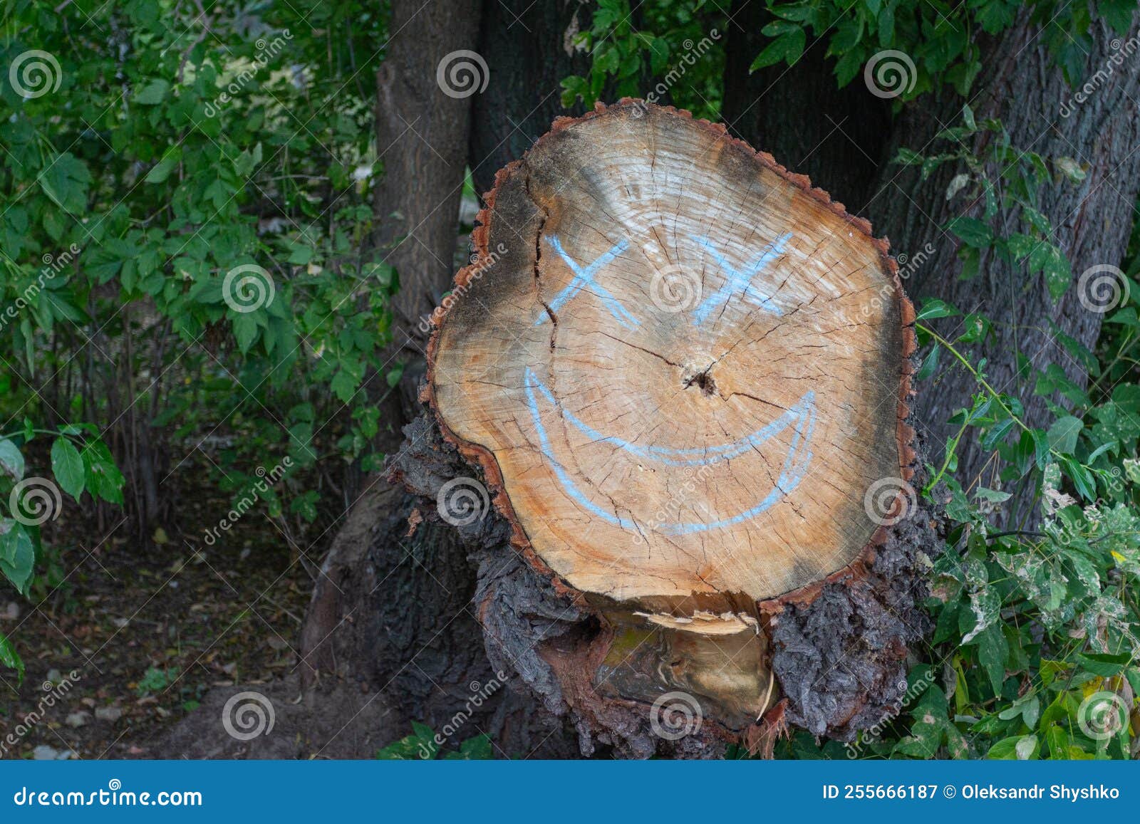 A Smiley Face is Drawn on a Section of a Tree Branch Stock Image ...