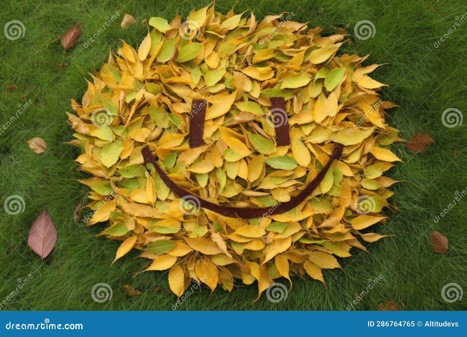 Smiley Face Made from Raked Leaves on the Grass Stock Illustration ...