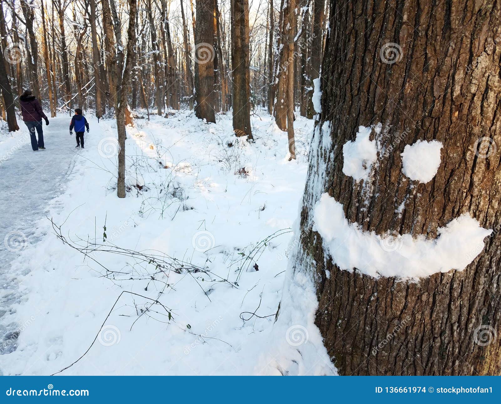 Smiley Face in Snow on Tree in the Forest with Trees in the Winter ...