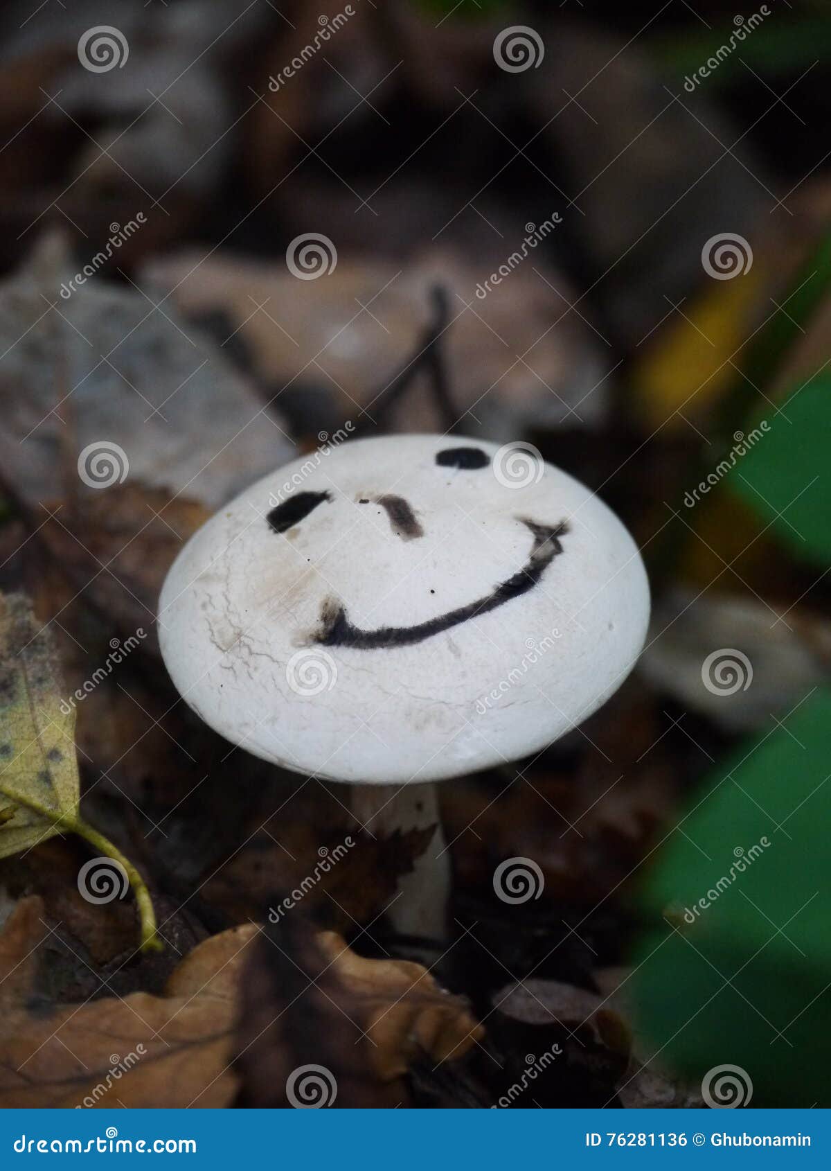 Smiley mushroom stock photo. Image of concept, season - 76281136