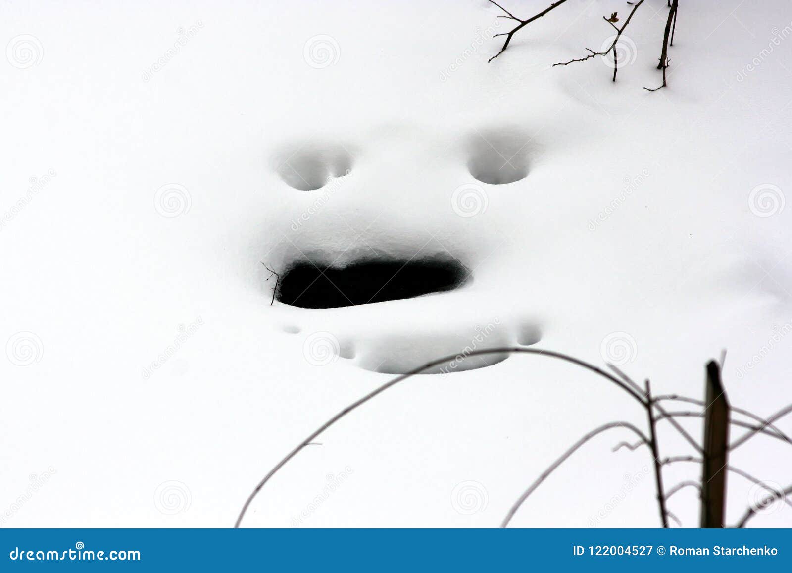 Smiley is on the snow stock image. Image of season, happy - 122004527