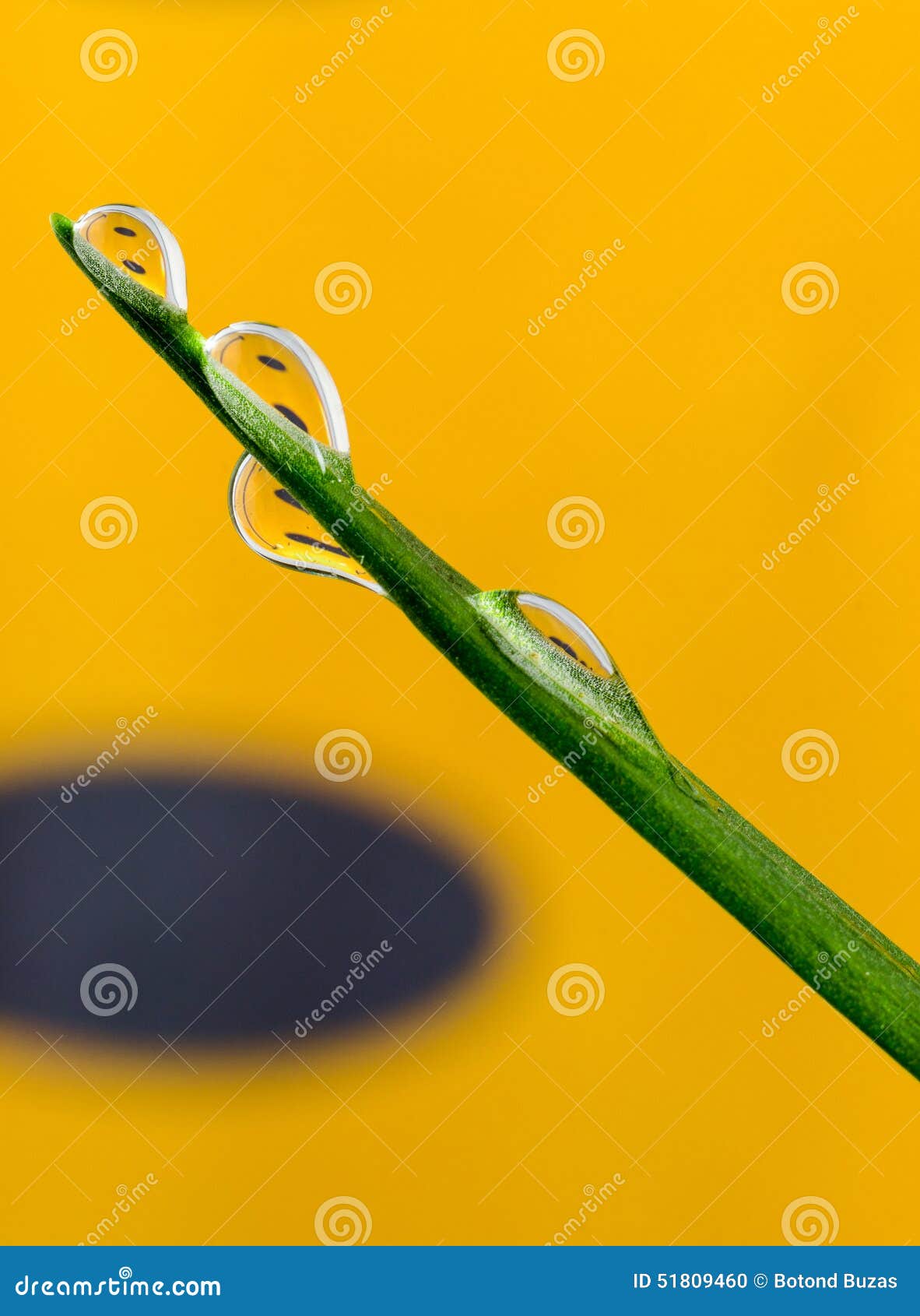 Smiley stock illustration. Illustration of facial, called - 51809460