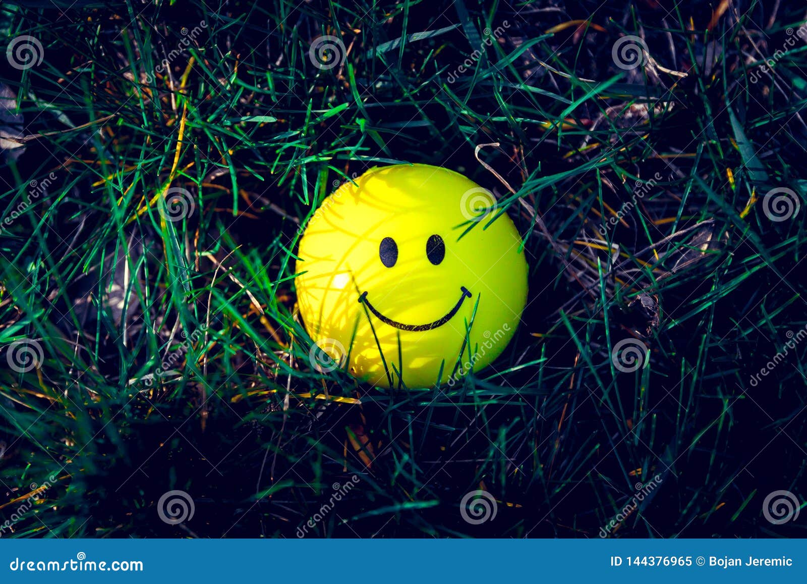 Smiley Standing in the Grass Editorial Image - Image of colorful, face ...