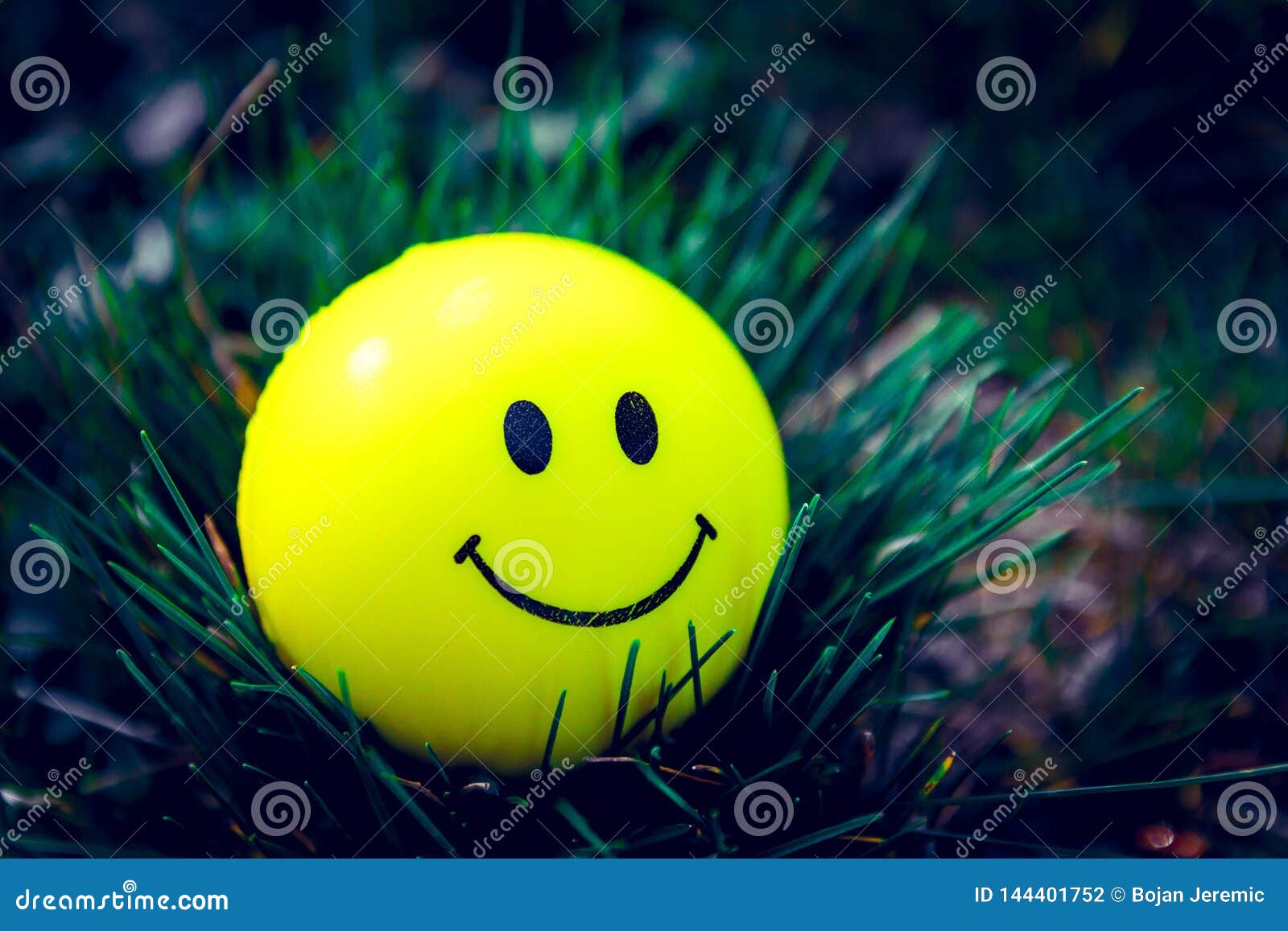 Smiley Standing in the Grass Editorial Photography - Image of cute ...