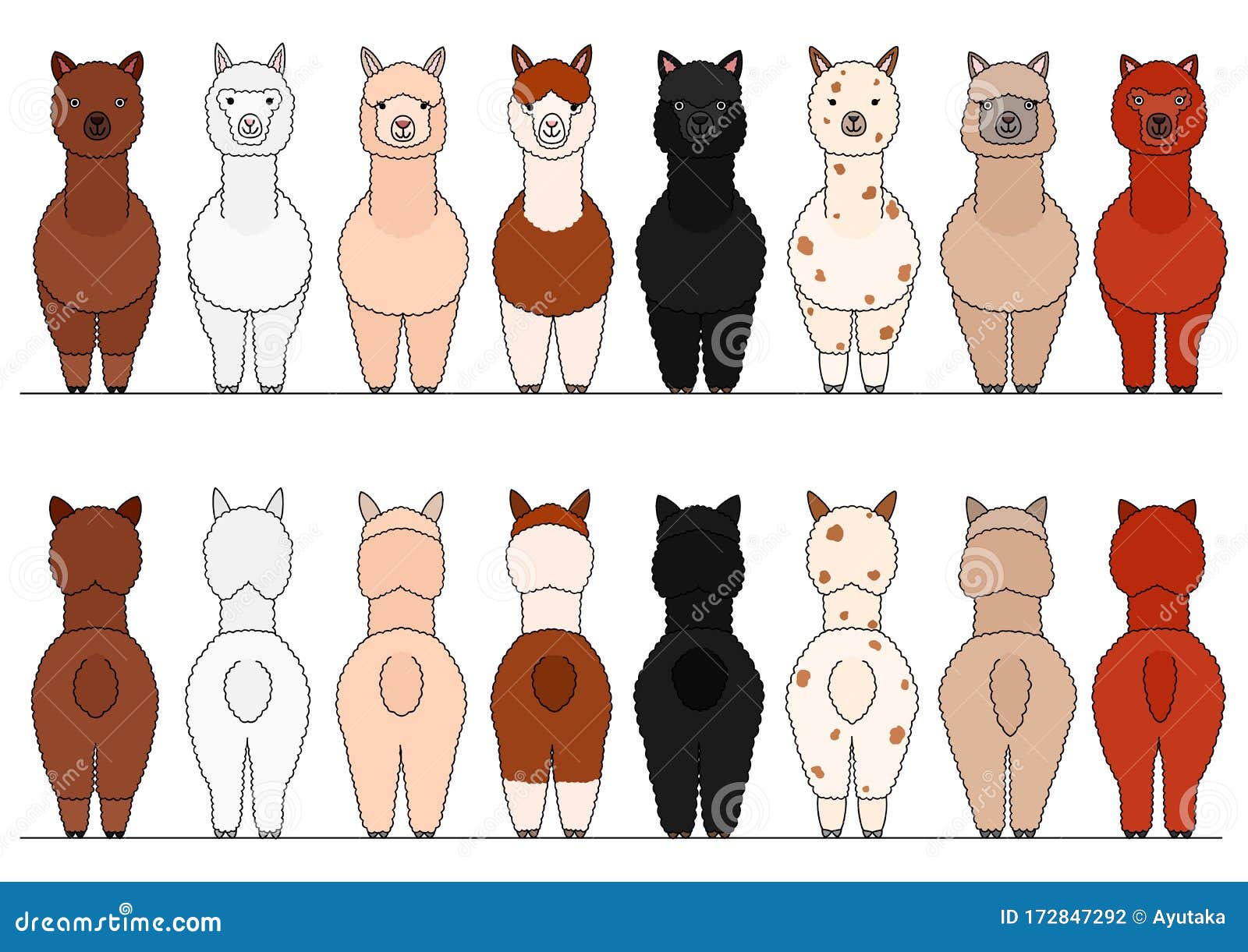 Smiling Alpacas Border Set, Front and Back Stock Vector - Illustration ...