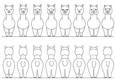 Smiling Alpacas Border Set, Front and Back Stock Vector - Illustration ...