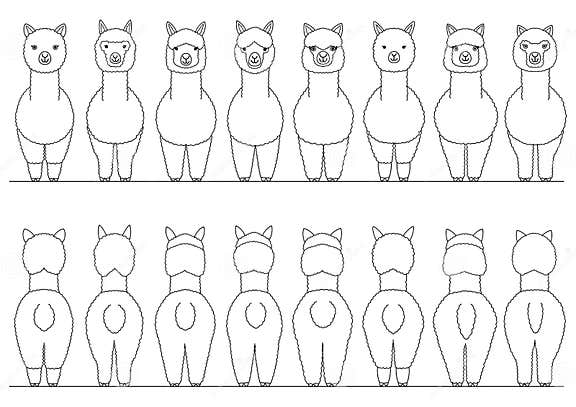 Smiling Alpacas Border Set, Front and Back Stock Vector - Illustration ...