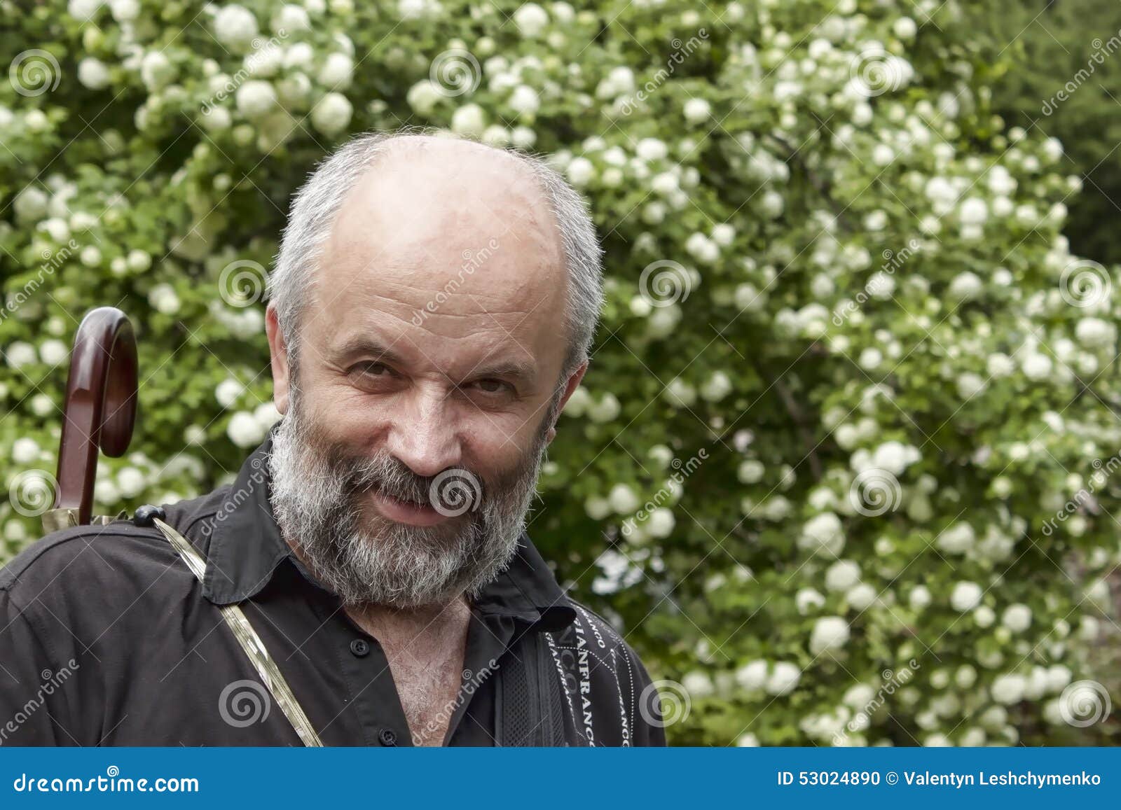 Smiling Bald Man with a Beard Stock Photo - Image of smiling, summer ... Smiling Bald Man with a Beard Stock Photo - Image of smiling, summer ...