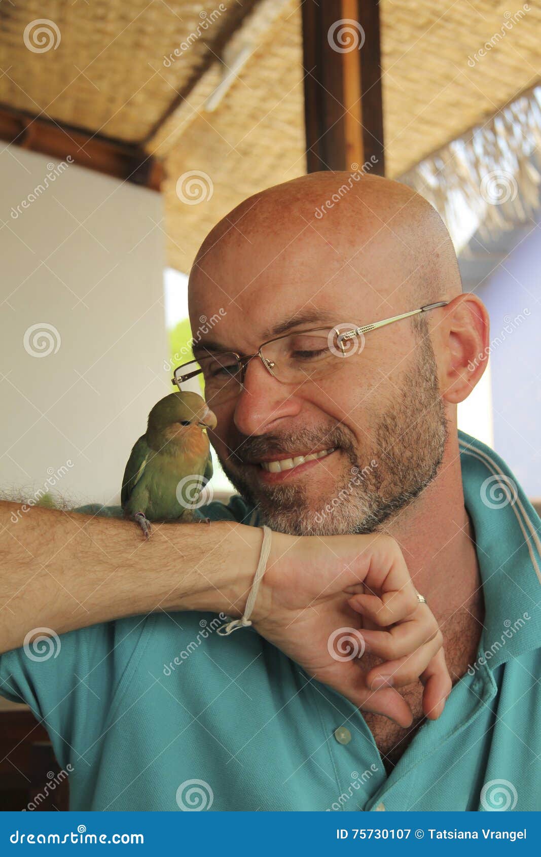Smiling Bald Man with a Beard with a Parrot Stock Image - Image of ... Smiling Bald Man with a Beard with a Parrot Stock Image - Image of ...