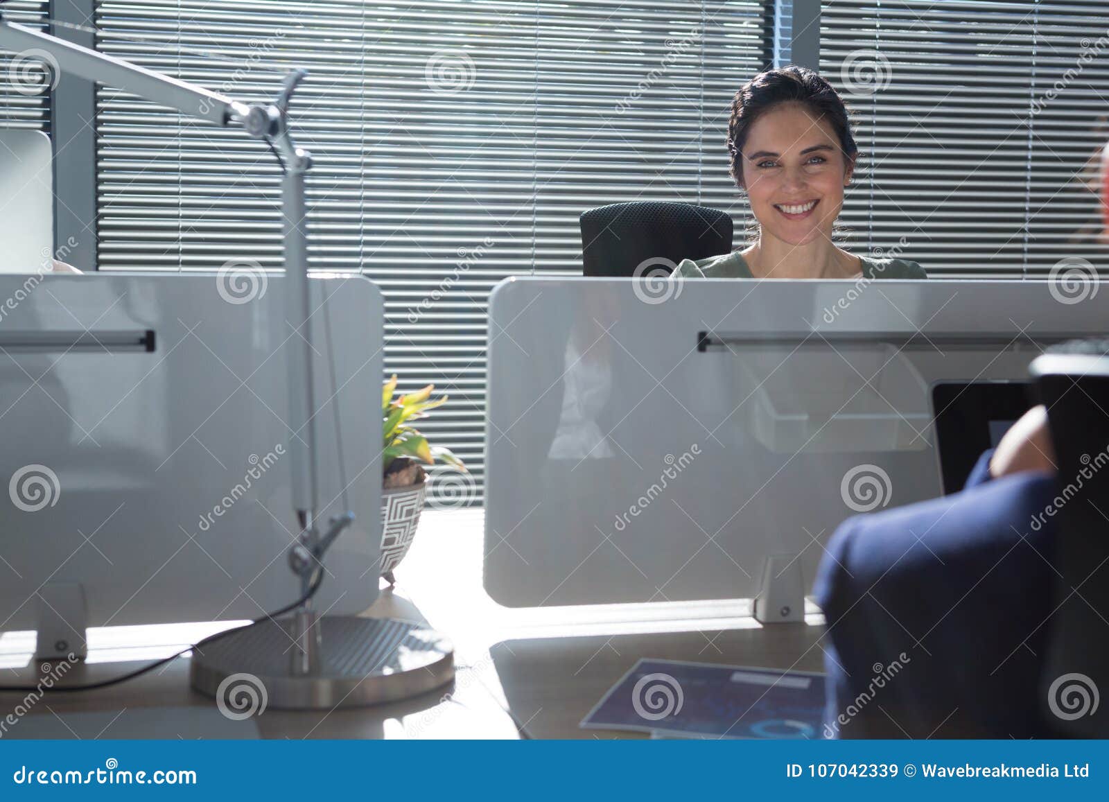 Beautiful Female Executive Looking at Camera Stock Image - Image of ...