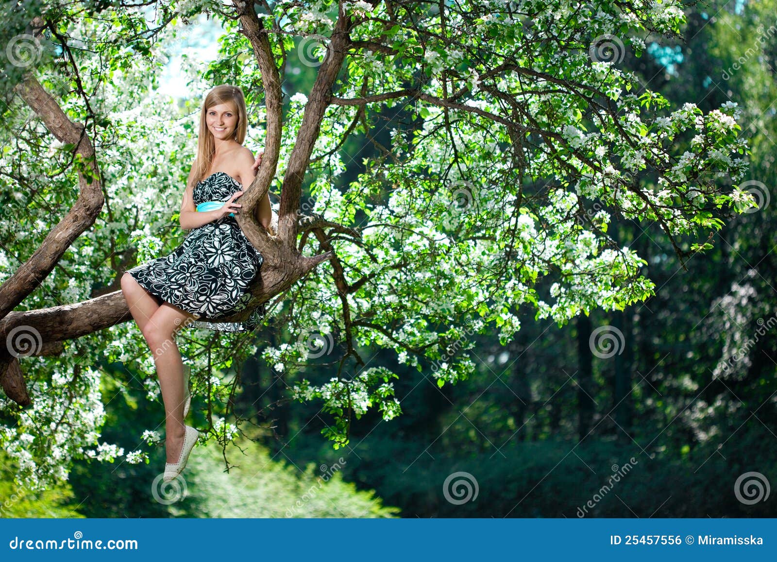Smiling Beautiful Woman and Flowering Tree Stock Photo - Image of herb ...