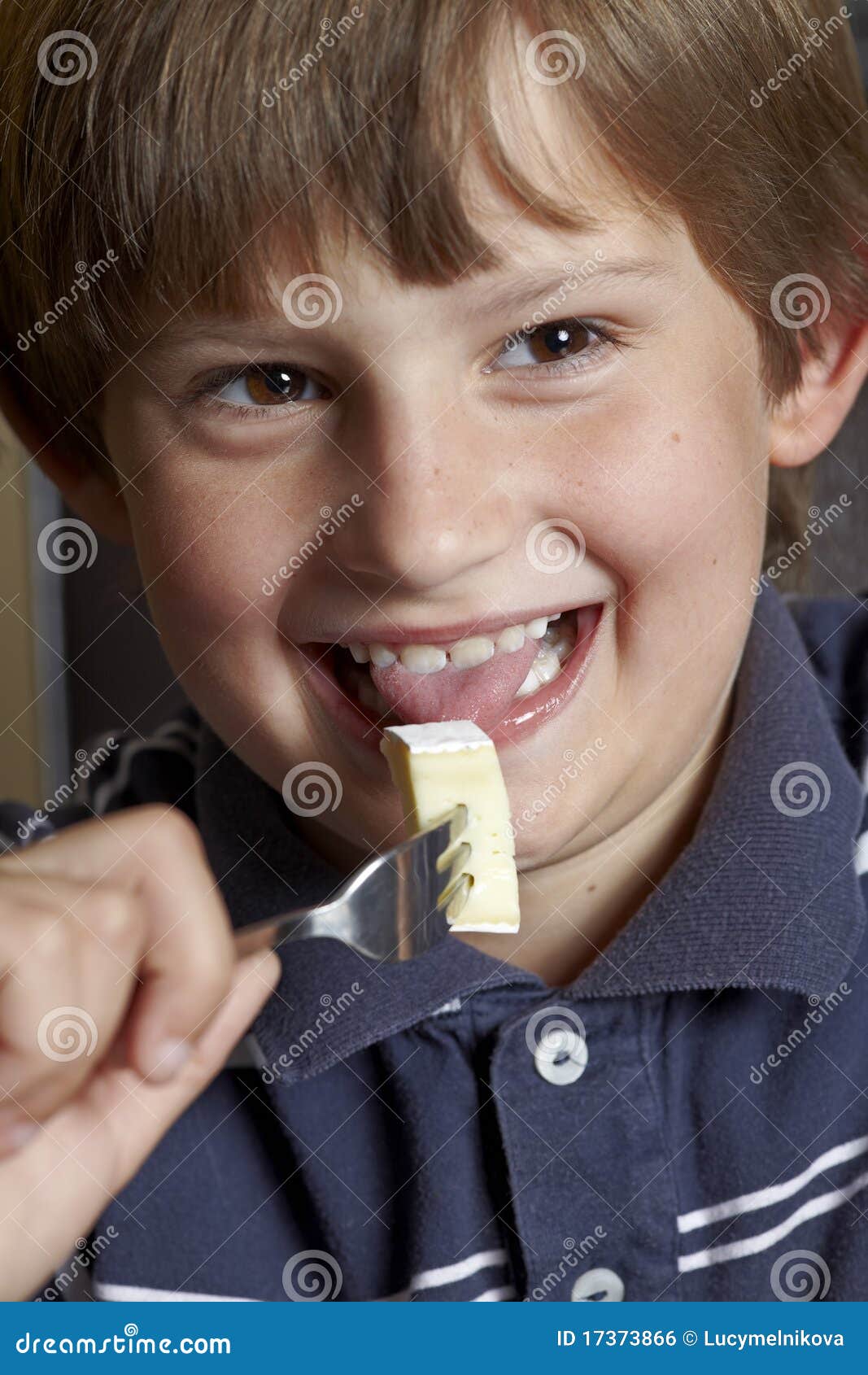 Smiling boy with cheese stock photo. Image of dinner - 17373866