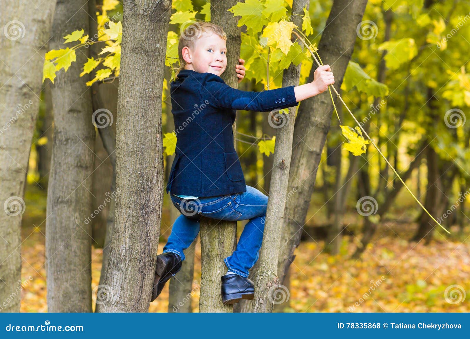 Smiling Boy Climbed in a Tree in Park Stock Photo - Image of healthy ...
