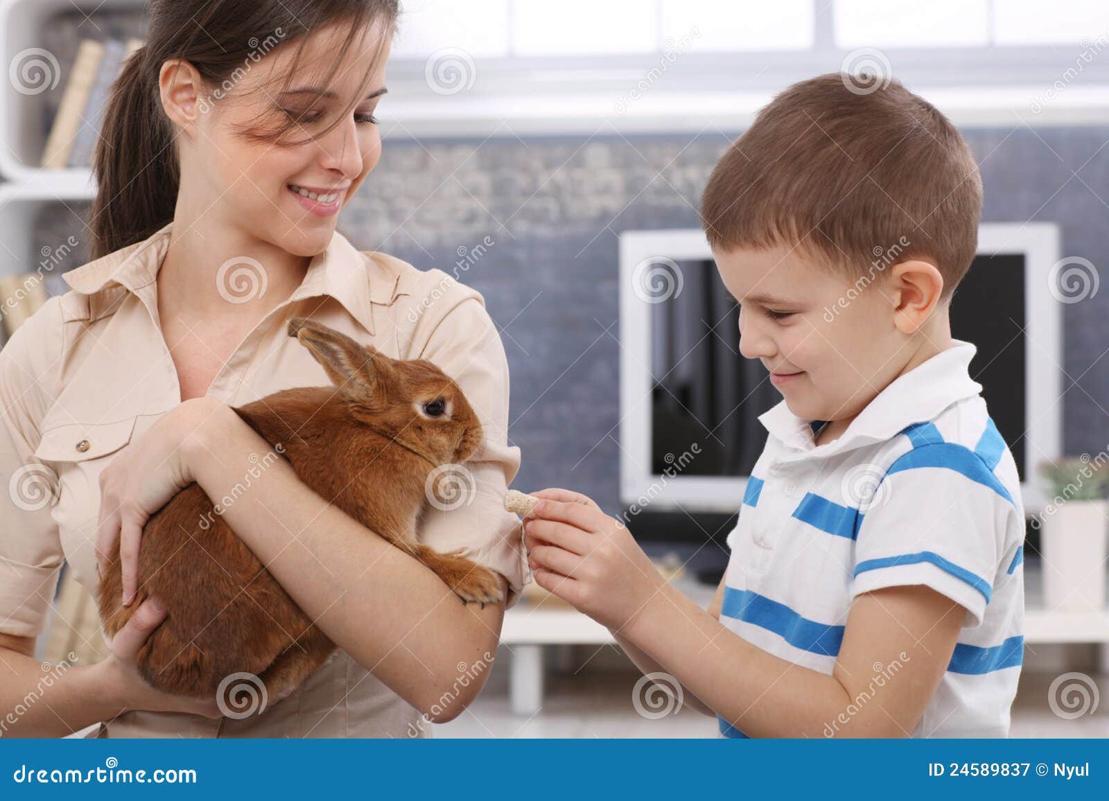 Smiling boy feeding rabbit stock image. Image of feeding - 24589837