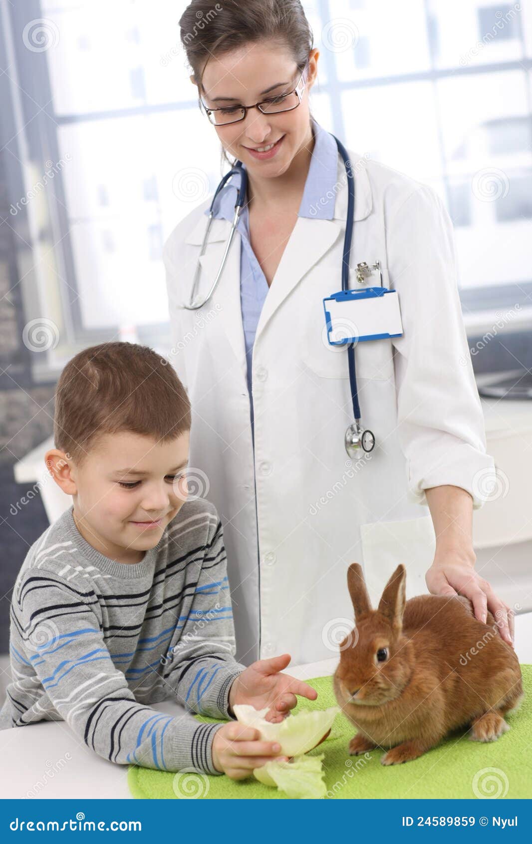 Smiling Boy Feeding Rabbit at Pets Clinic Stock Image - Image of ...