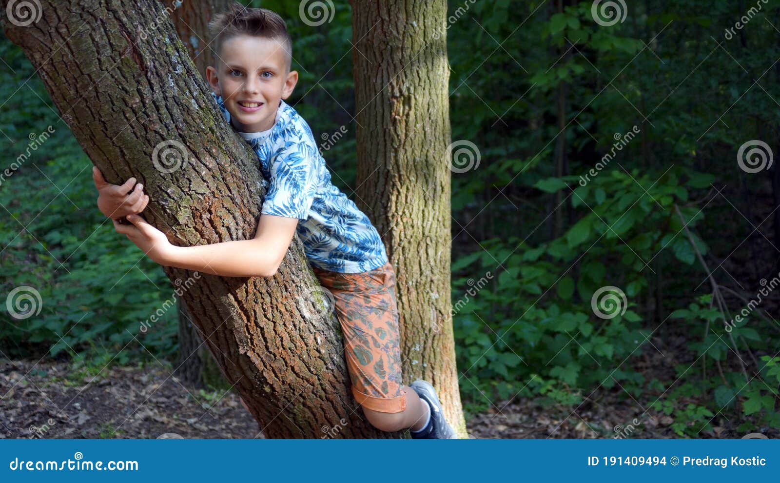 Smiling Boy Hugs a Tree Trunk Stock Photo - Image of track, nature ...