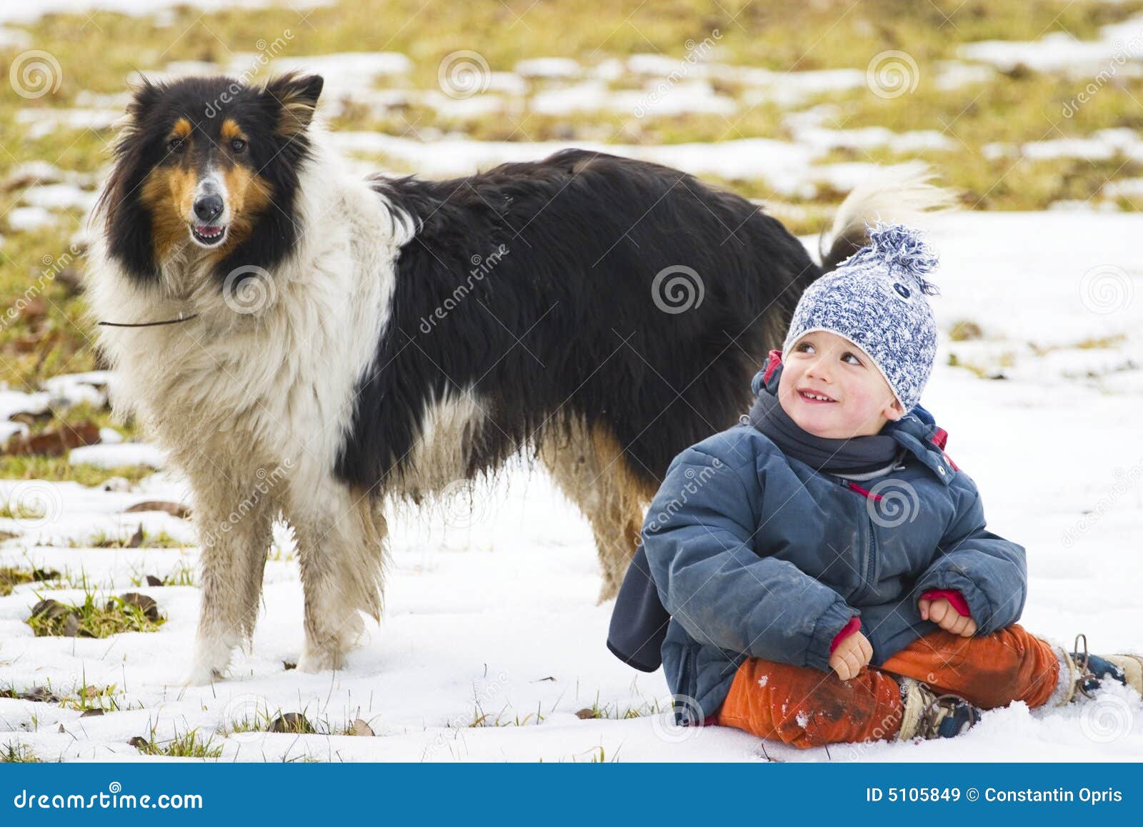 Smiling boy with pet dog stock image. Image of bobble - 5105849