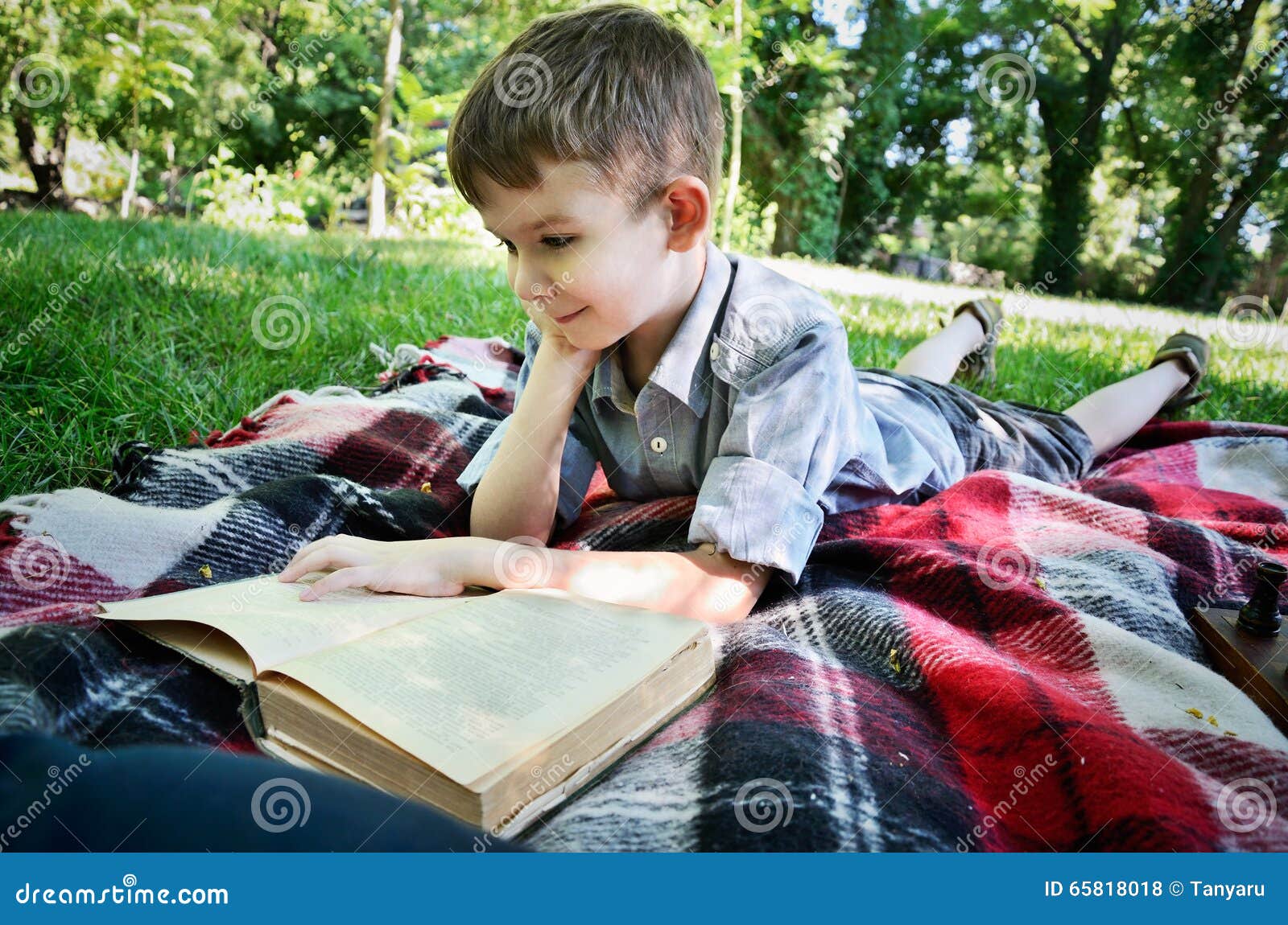 Smiling Boy Reading a Book while Lying on a Mat in the Park Stock Photo ...