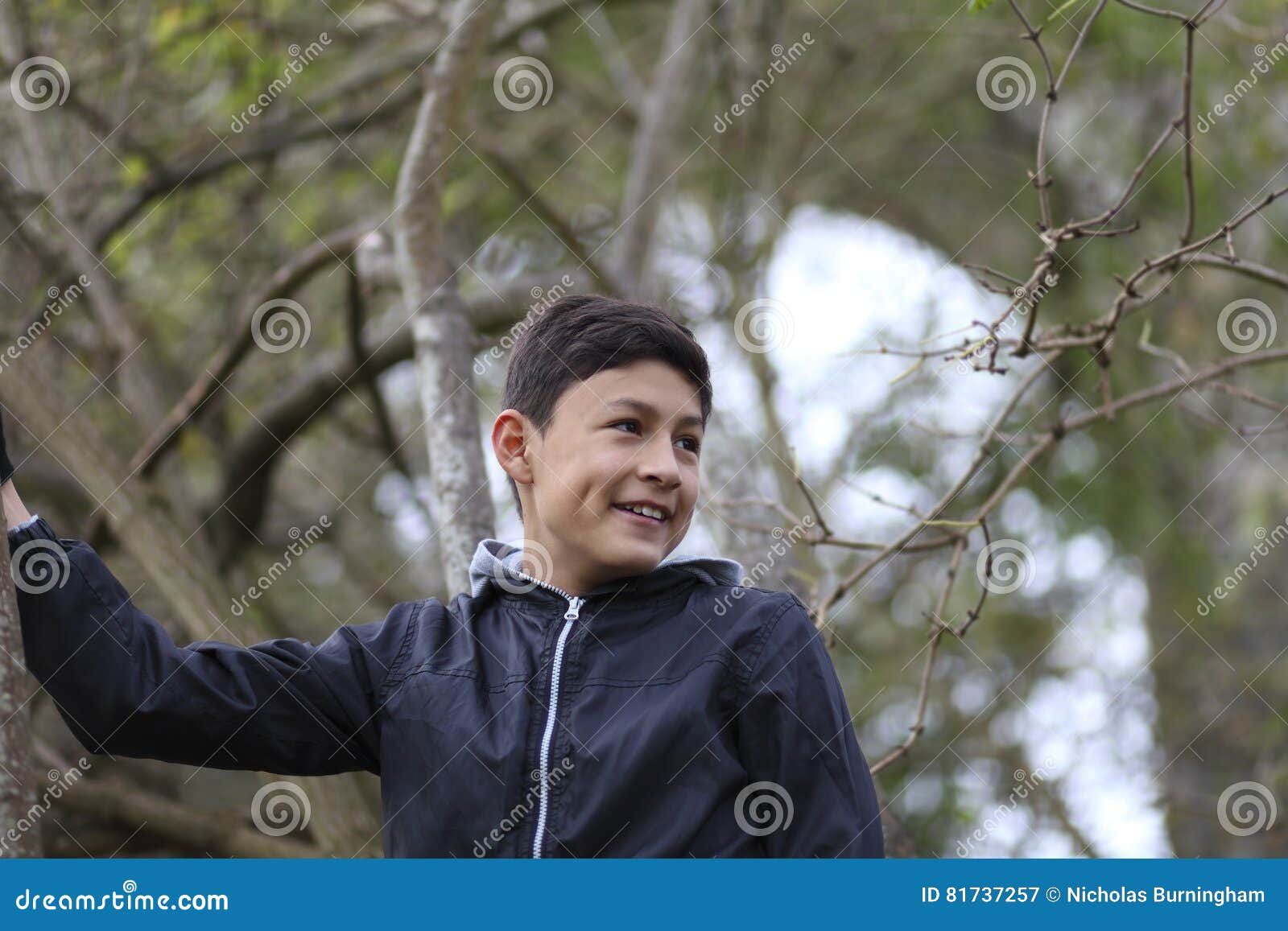 Smiling Boy among the Trees Stock Image - Image of outdoors ...