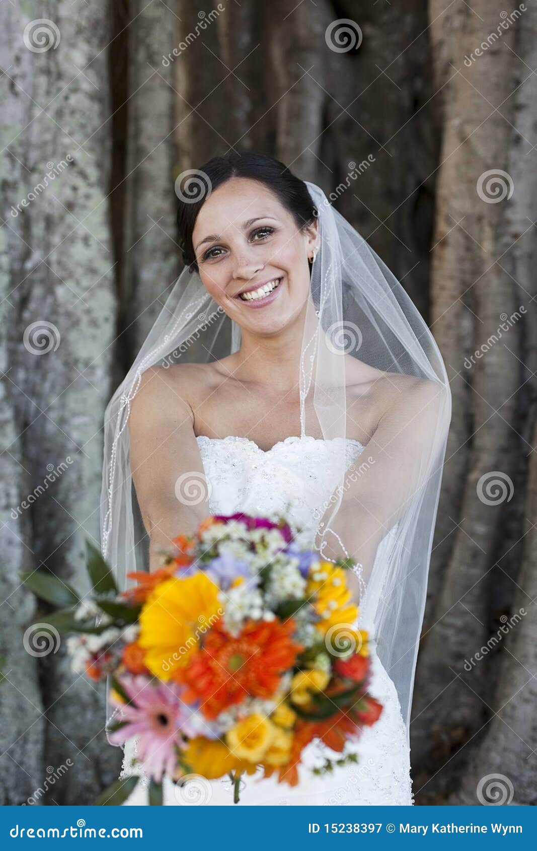 Smiling bride stock image. Image of bright, bunch, marry - 15238397